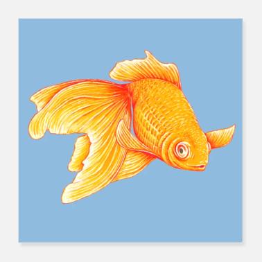 Glad Gullfisk Blå Gurami (Trichogaster Trichopterus)