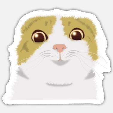 Ops Katt Meme Top 20 Cat Memes Of The Week Cheezburger Users Edition