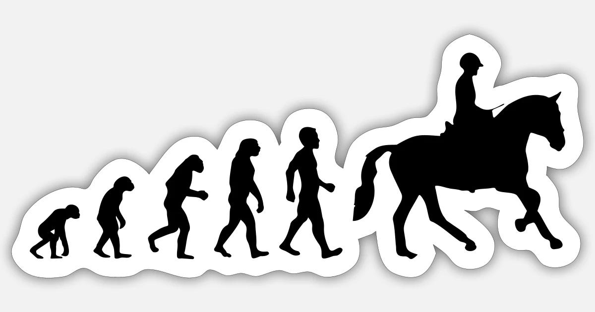 Die Evolution Der Pferde